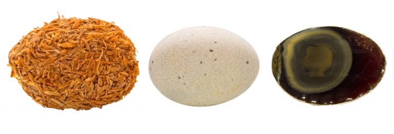 The Mystery of Century Eggs - Backyard Poultry